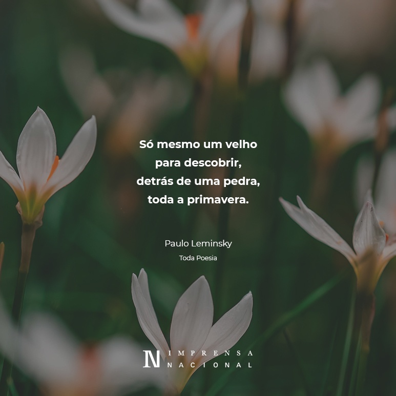 Paulo Leminsky, Toda Poesia, p. 14 - Imprensa Nacional