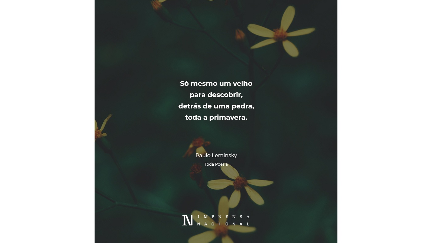 Paulo Leminsky, Toda Poesia, p. 14 - Imprensa Nacional
